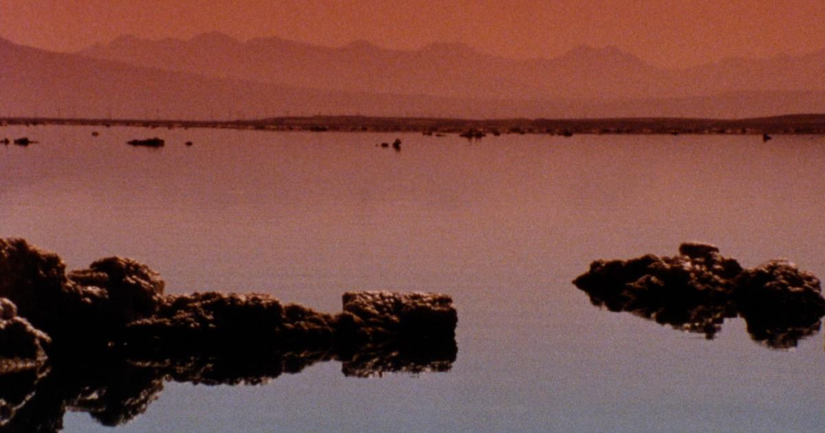 Festival du nouveau cinéma | Instant Life