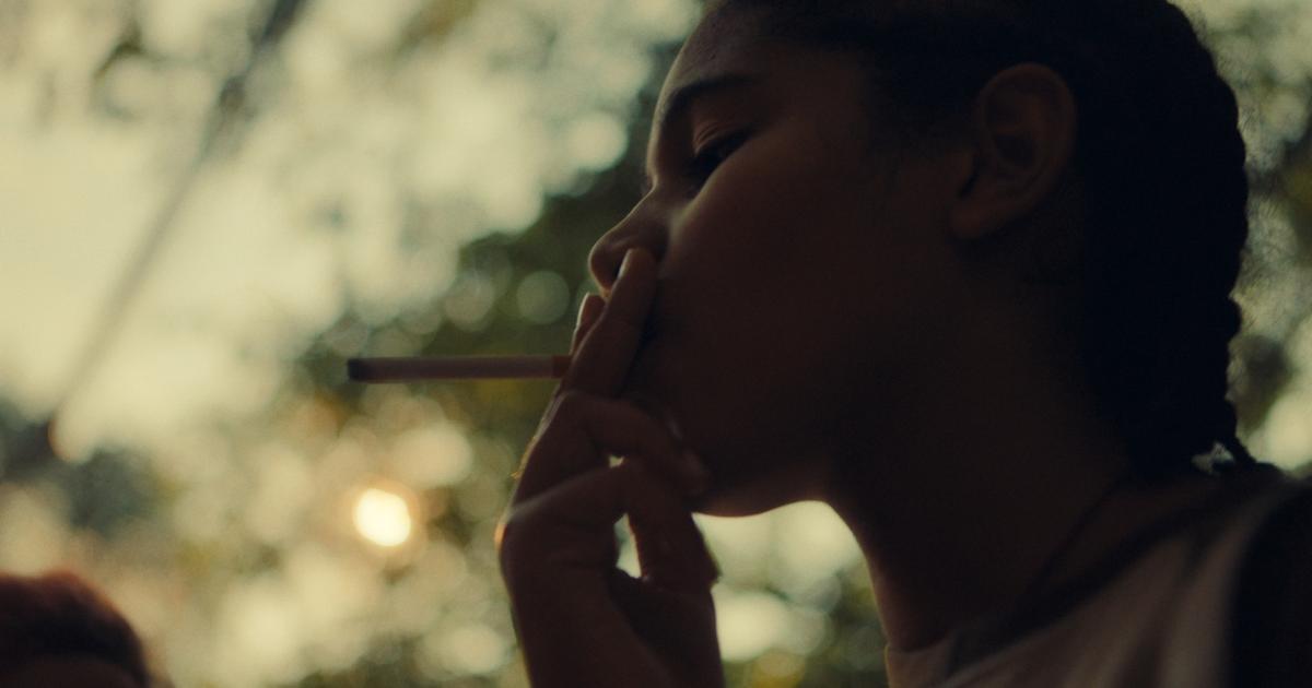 Festival du nouveau cinéma | Soft