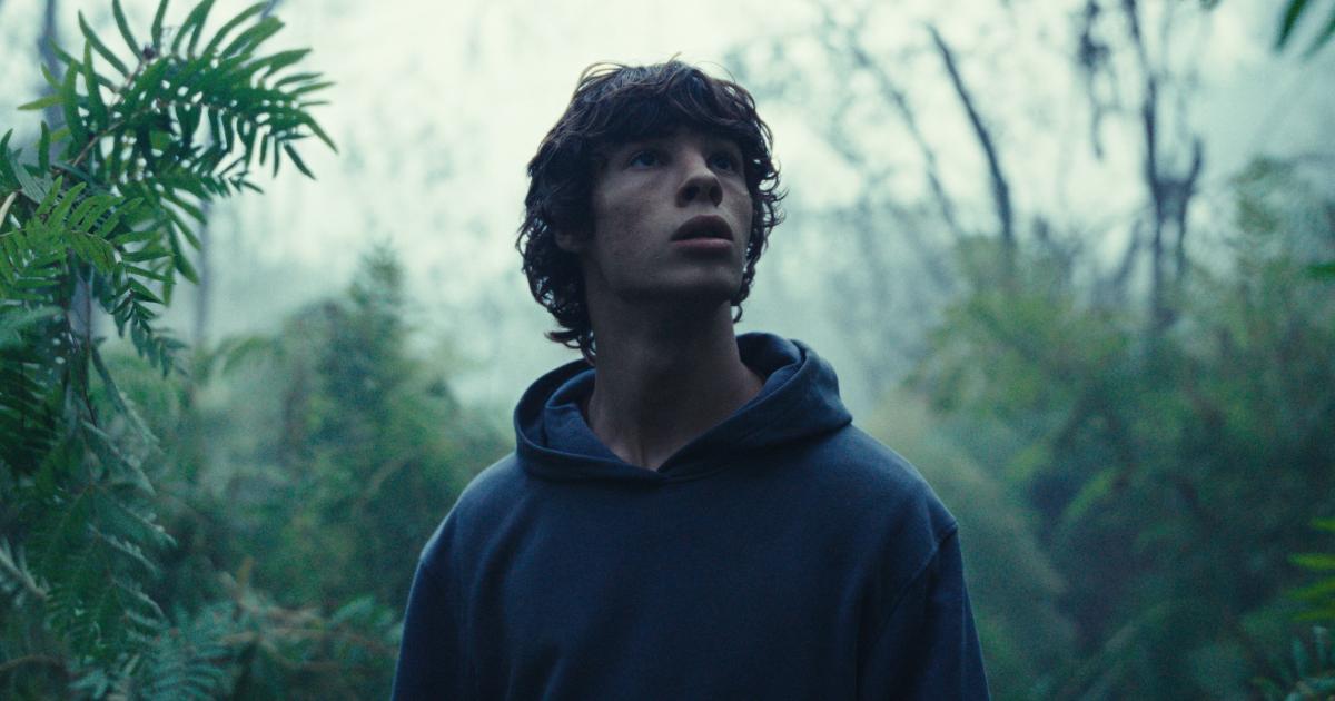 Festival du nouveau cinéma | ANIMAL KINGDOM to close FNC 2023!