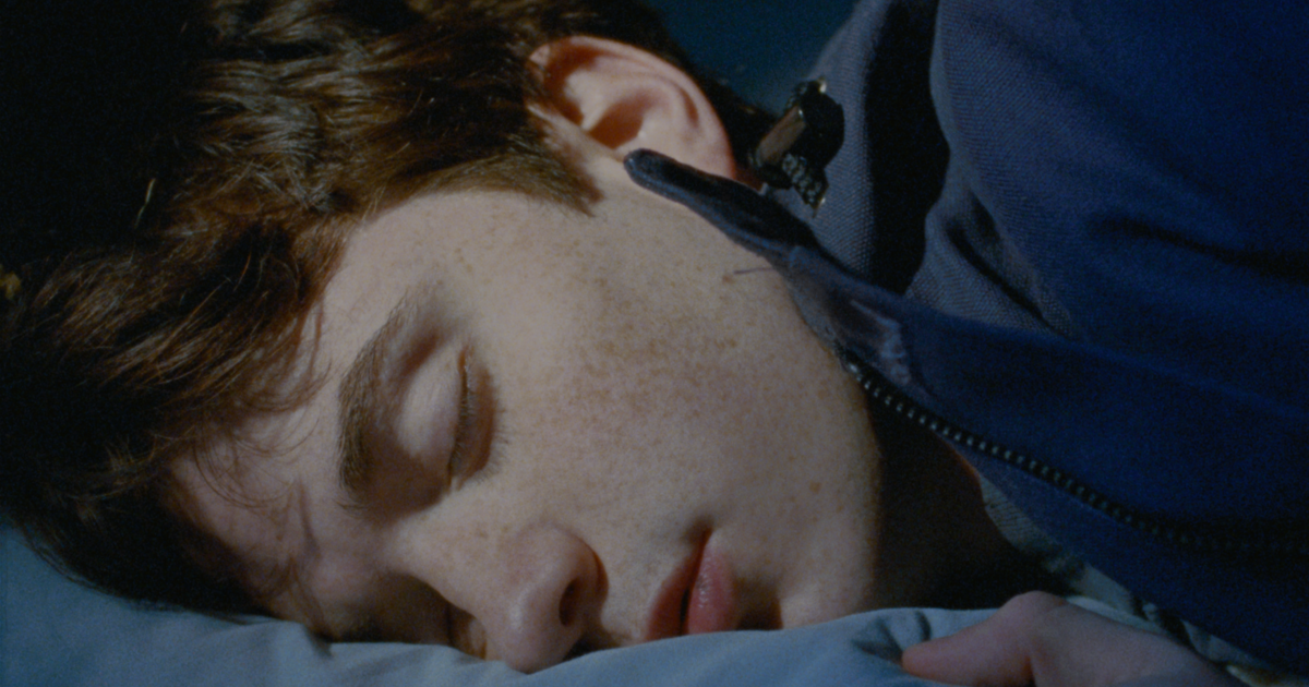 Festival du nouveau cinéma | Julian and the Wind