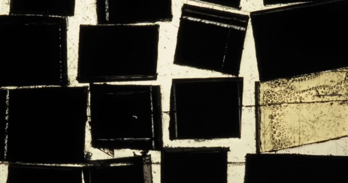 Festival du nouveau cinéma | A Black Screen Too