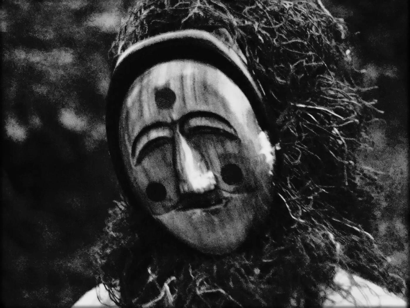 Festival du nouveau cinéma | The Masked Monster