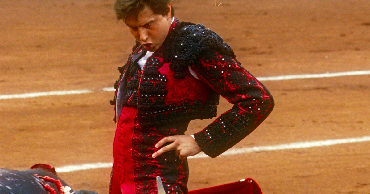 Festival du nouveau cinéma | Tardes de soledad