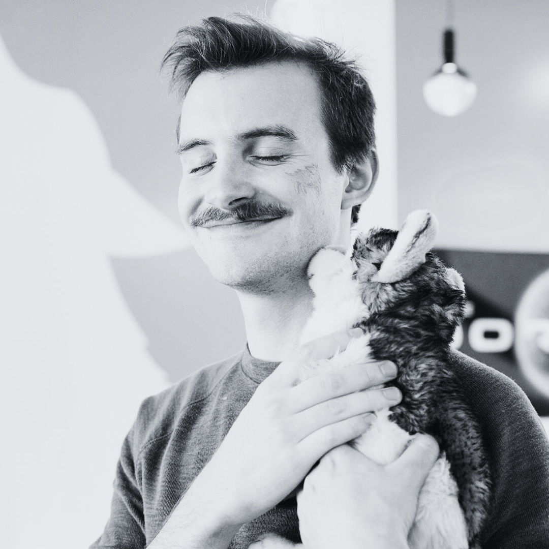 Festival du nouveau cinéma | Our team